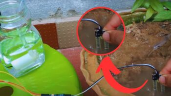 Automatic Plant Watering System Using Arduino